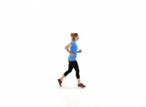 Home Exercise Library - Wibbi